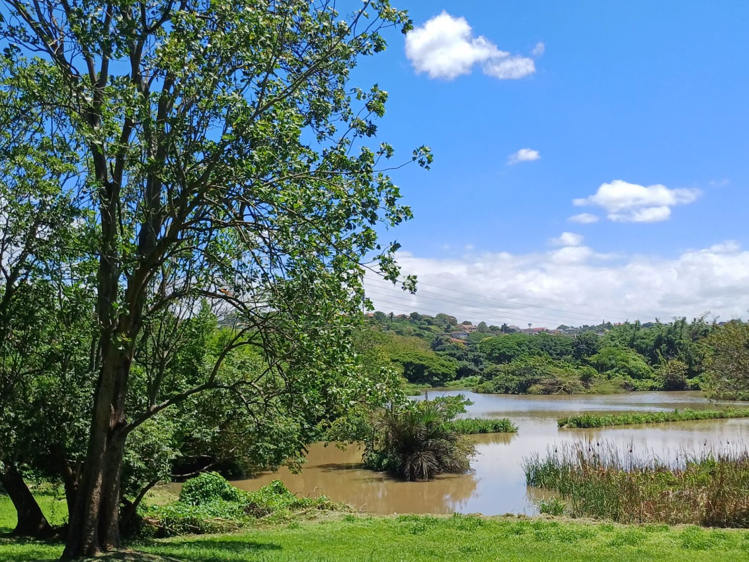 Umbilo South Association – The Umbilo South Association (USA ...