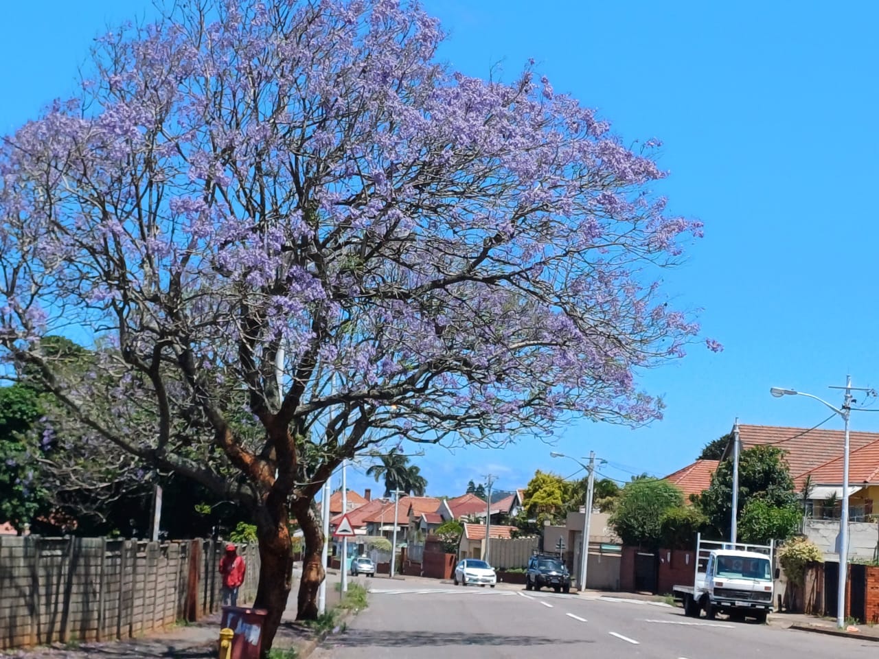 Umbilo South Association – The Umbilo South Association (USA ...